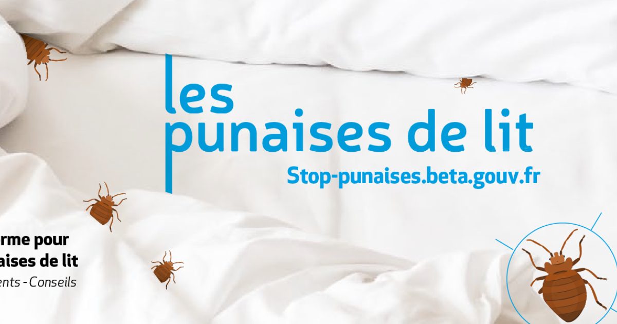 Nuisibles | Ville de Marseille